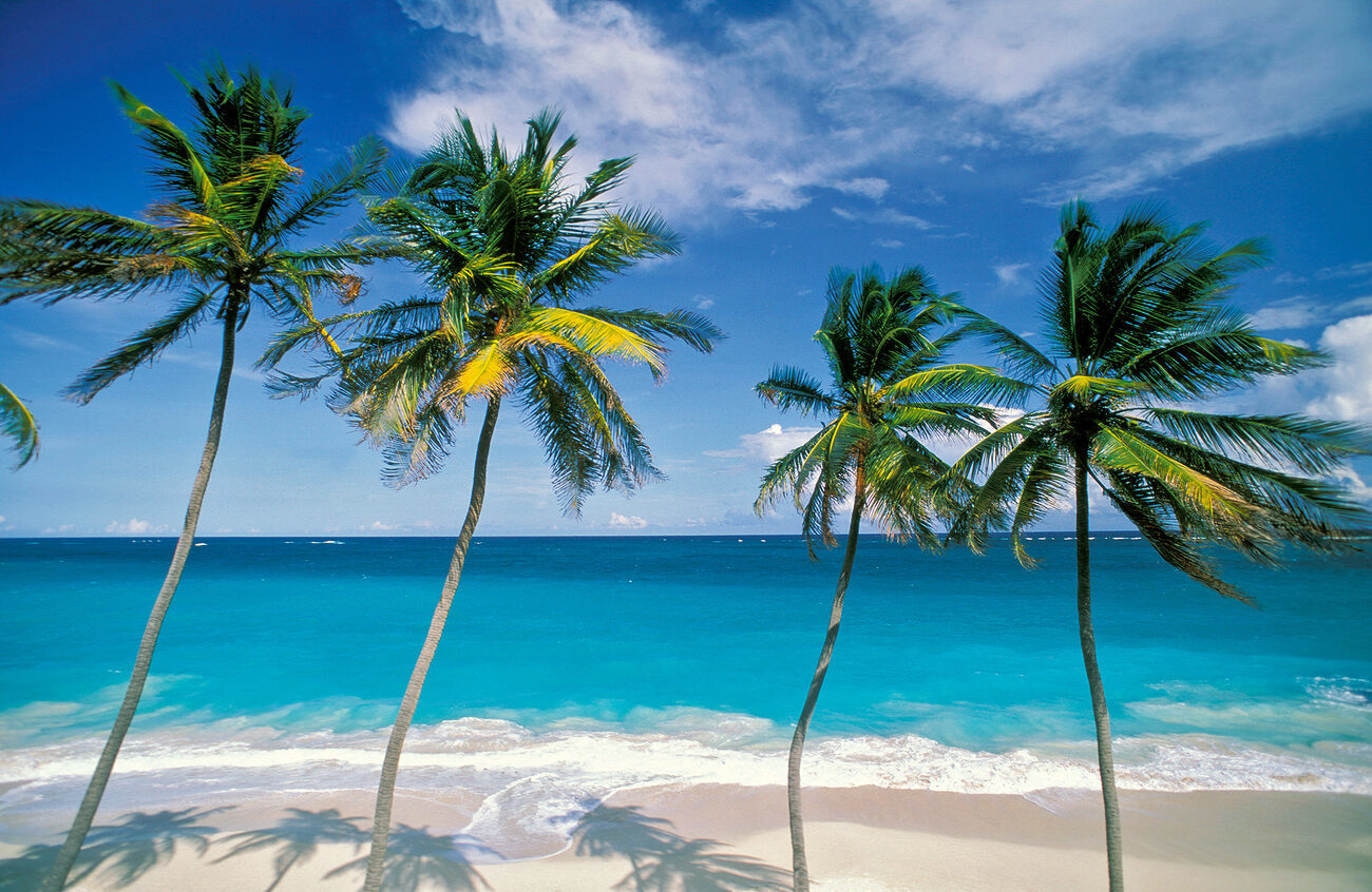 Compare and explore Holetown beach resorts | BeachBound