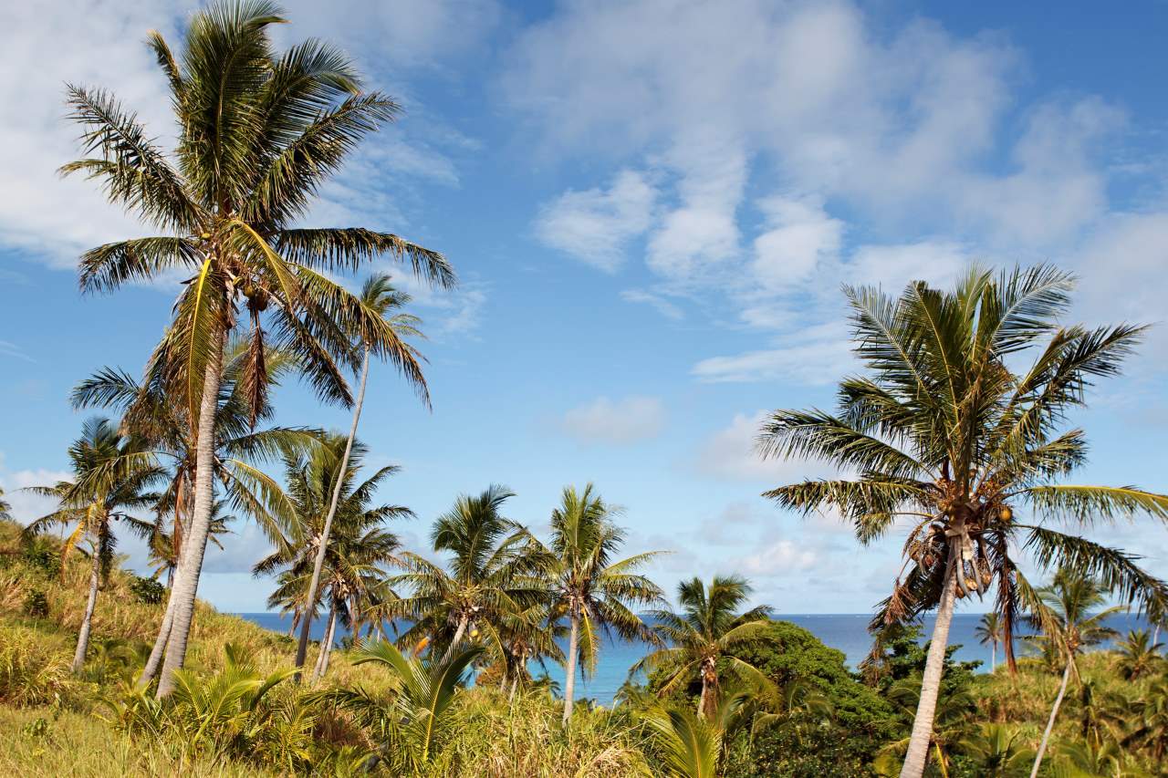 Compare and explore Kadavu Island beach resorts | BeachBound