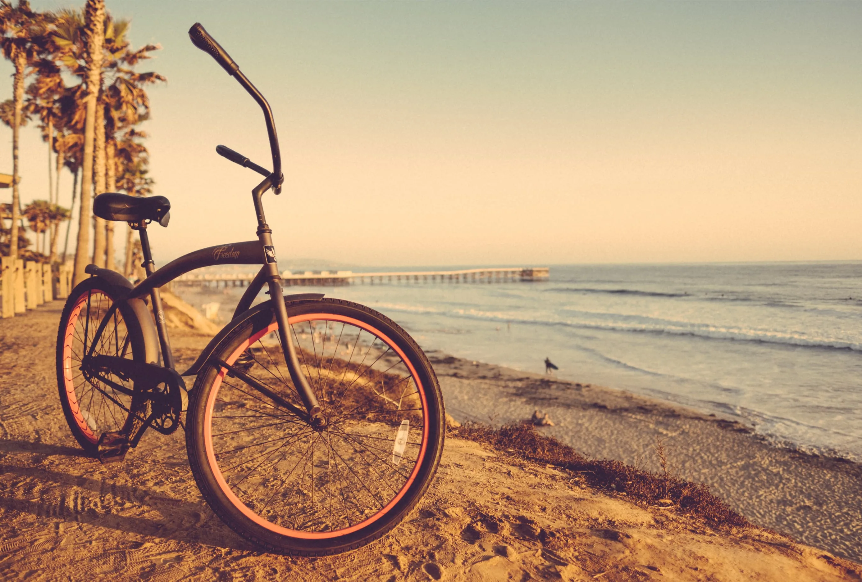 Pest Control in San Diego County | Lloyd Pest Control